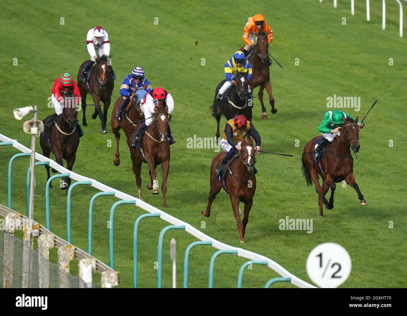 Wisper horse hi-res stock photography and images - Alamy