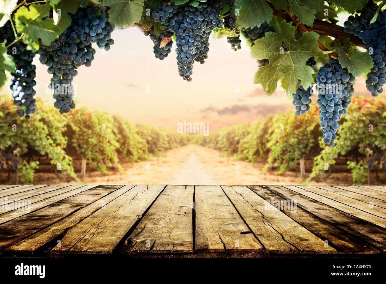 Wood Vineyard Vines Background