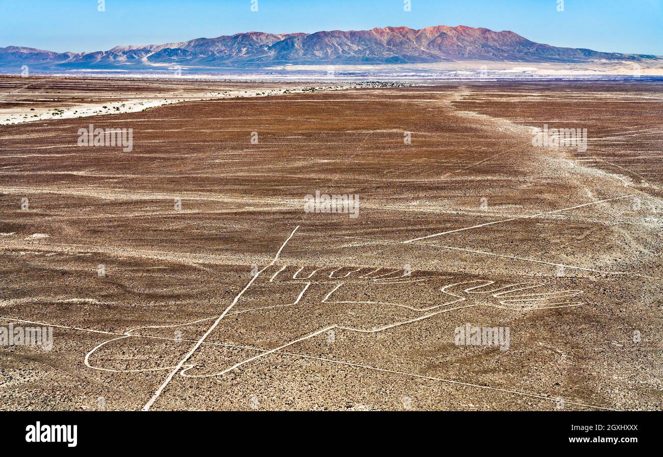 Peruvian desert nazca hi-res stock photography and images - Alamy