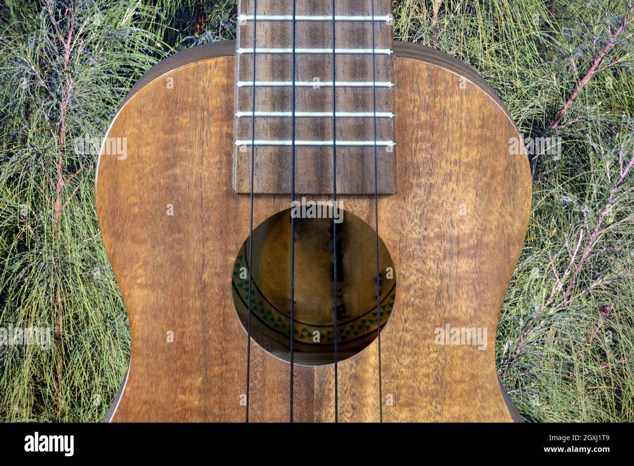 Ukulele strings hi-res stock photography and images - Alamy