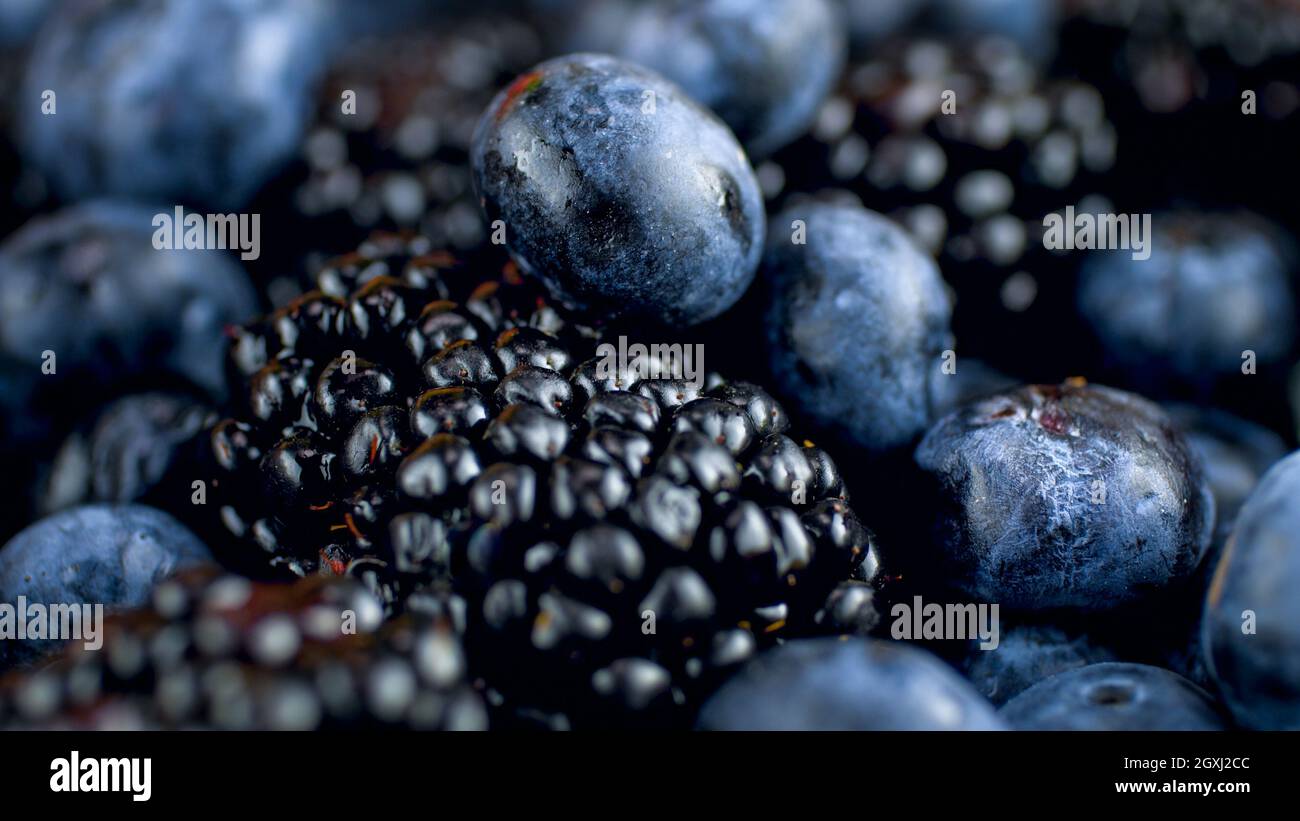 Macro photo of blueberries, currant and blackberries. Abstract ...