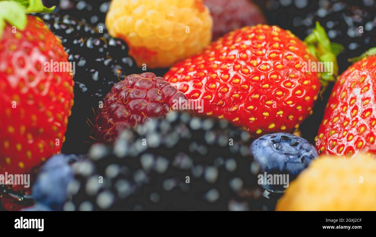 Macro toned image of strawberry, raspberry, blackberry and blueberry ...