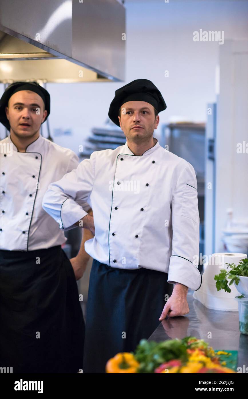 Portrait of two chefs standing together in commercial kitchen at ...