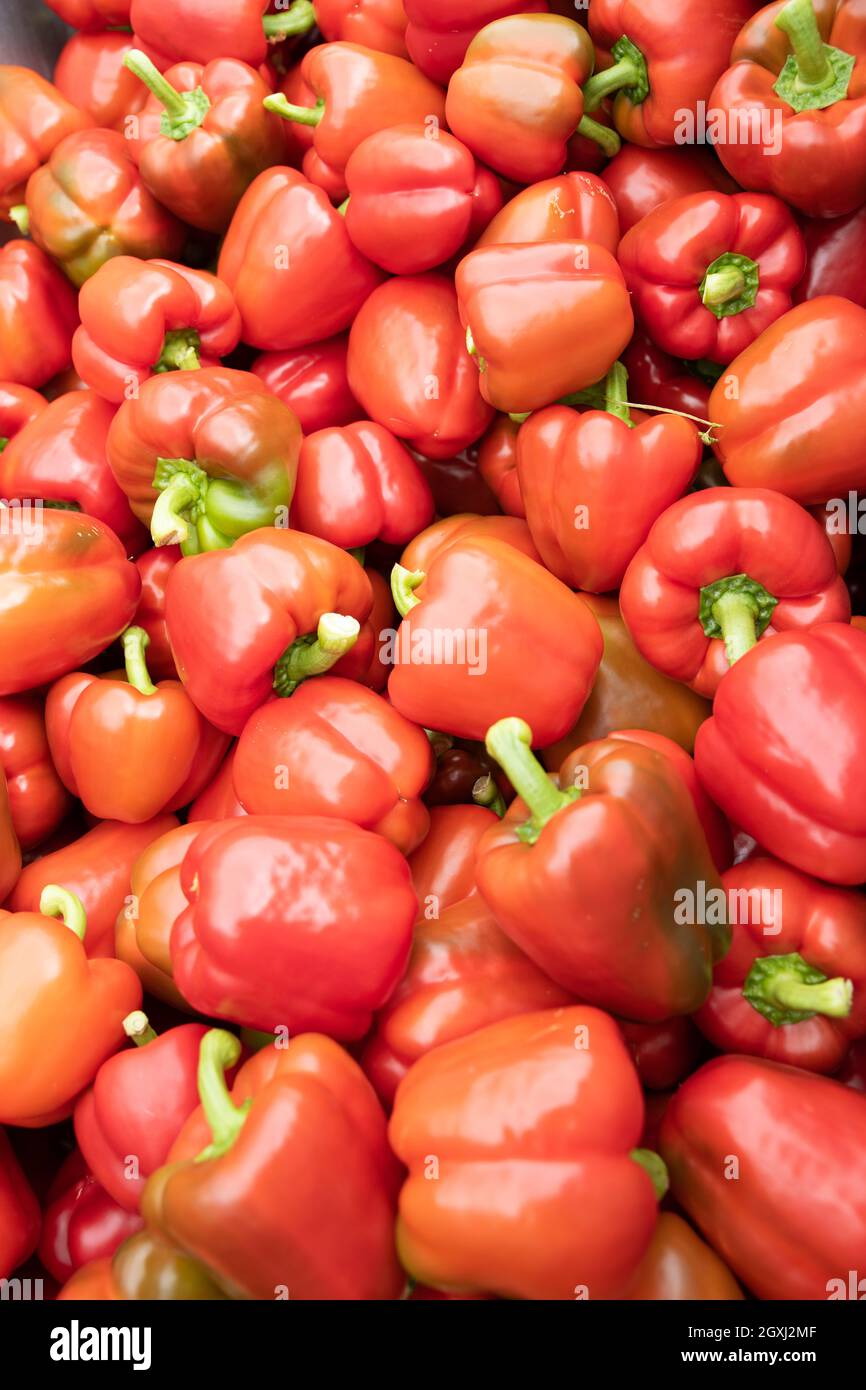 Organic fresh red peppers in a factory Stock Photo - Alamy
