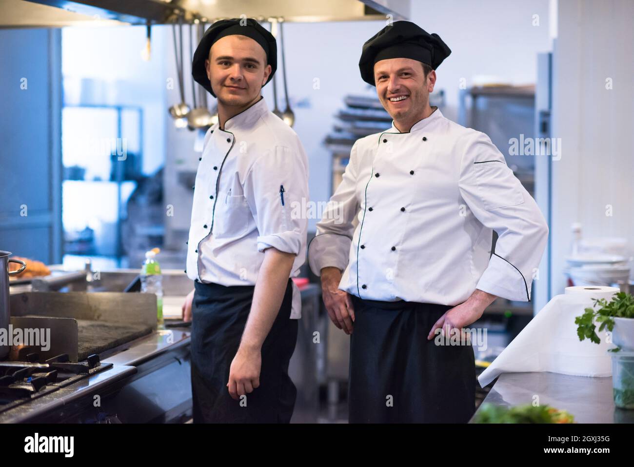 Portrait of two chefs standing together in commercial kitchen at ...