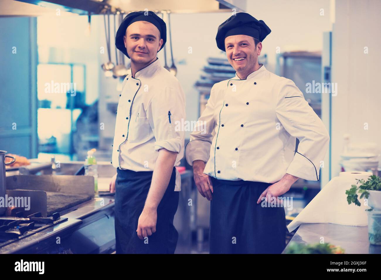 Portrait of two chefs standing together in commercial kitchen at ...