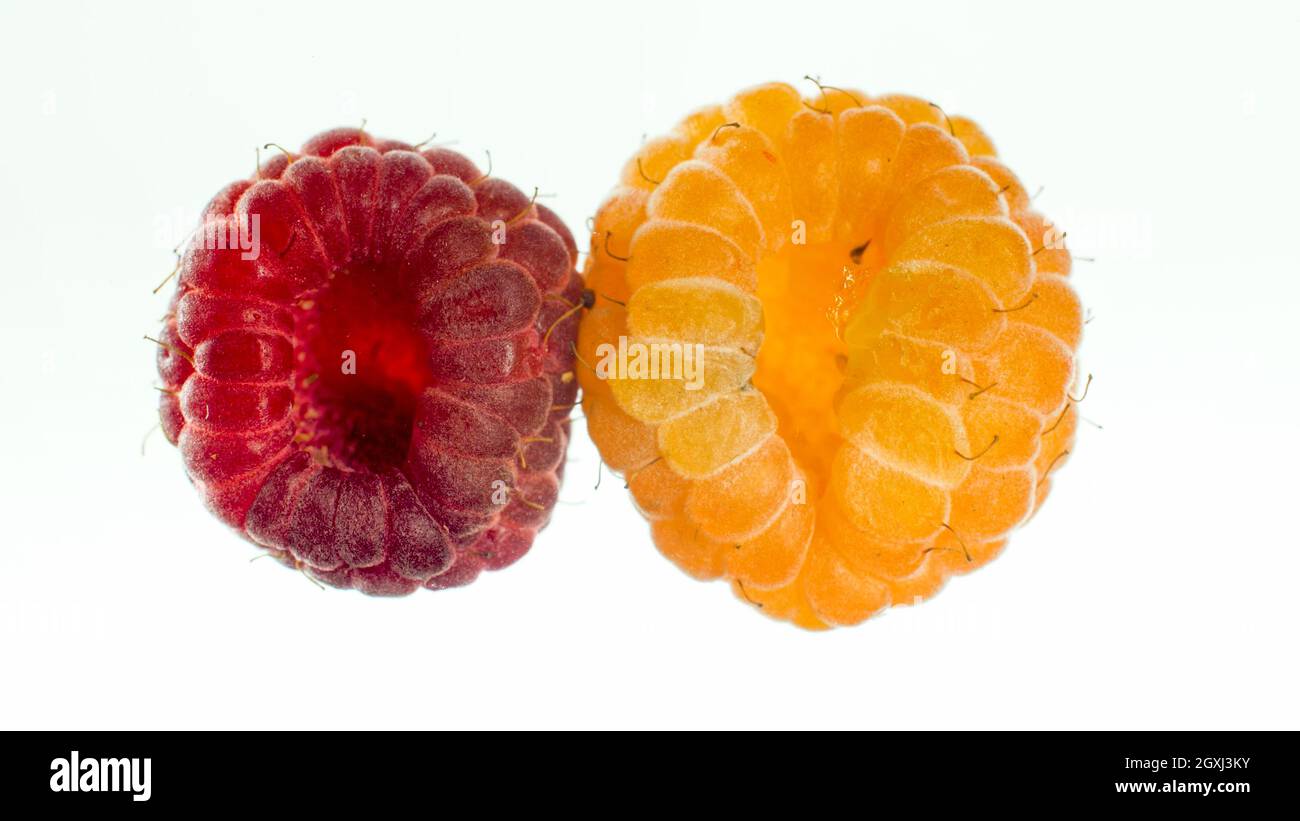 Closeup isolated photo of red and yellow raspberry over white ...
