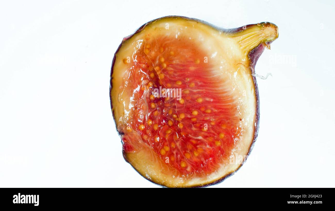Macro image of fresh ripe fig cut in half on white backgrund. Abstract ...