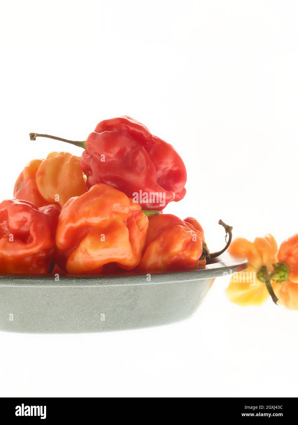 High resolution food ingredient still-life of Scotch Bonnet Peppers, on ...