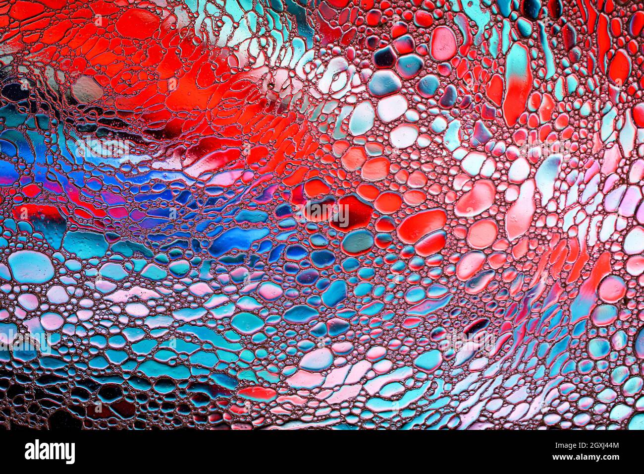 Colorful abstract background with organic shapes Stock Photo - Alamy