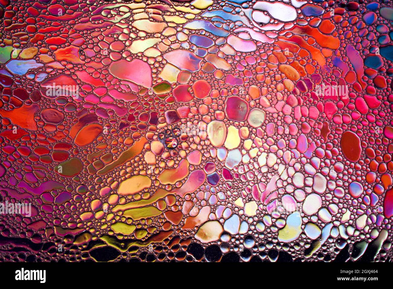 Colorful abstract background with organic shapes Stock Photo - Alamy