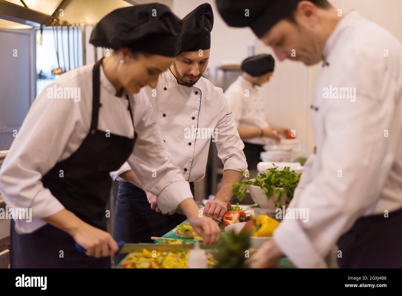 Professional team cooks and chefs preparing meal at busy hotel or ...