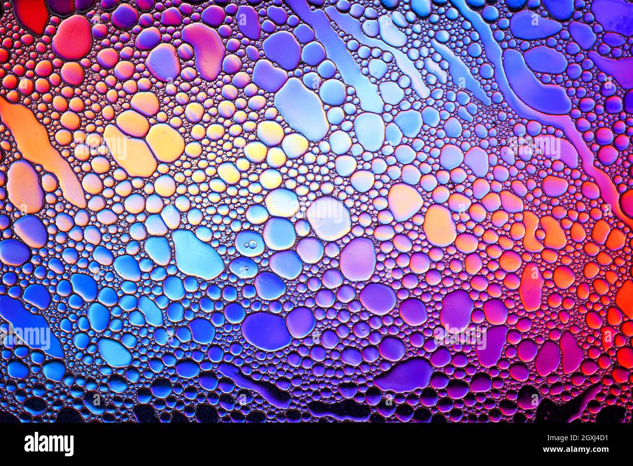 Colorful abstract background with organic shapes Stock Photo - Alamy
