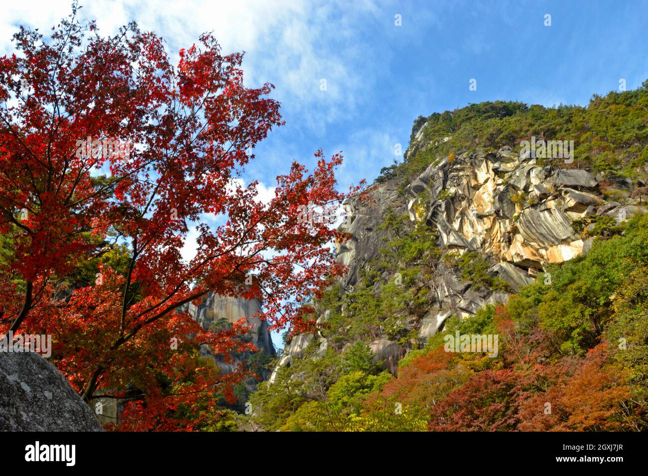 Foliage colors in the fall at the Shosenkyo Gorge, Yamanashi, Japan ...