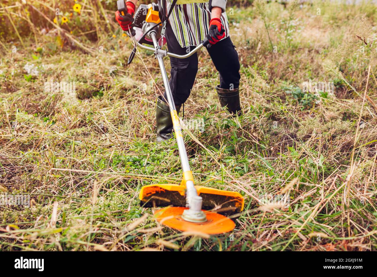 Gardener mowing weeds with brush cutter in fall meadow. Worker trimming ...