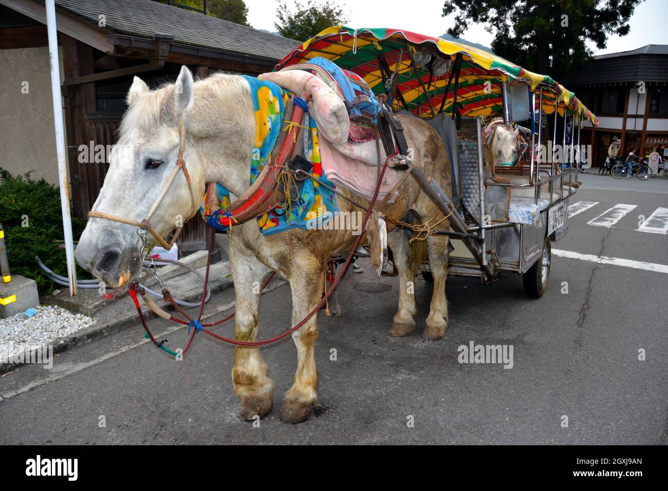 A horse-drawn two-wheeled chariot at the Shosenkyo Gorge, Yamanashi ...