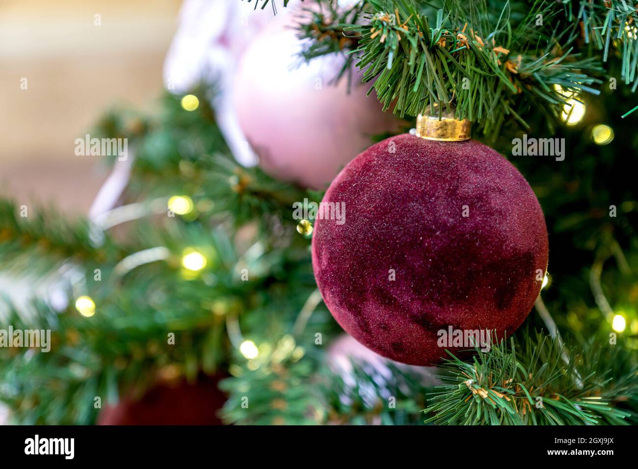 christmas tree ball hanging on a fir tree with garland. New year ...