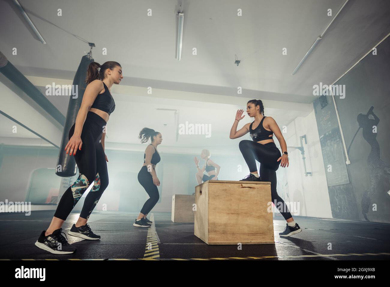 Fitness group of strong women having cross-functional training in the ...