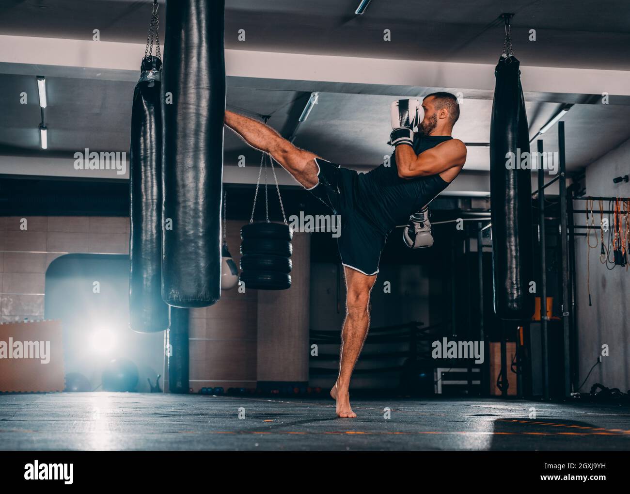 Male boxer as exercise for the big fight. Boxer hits punching bag ...