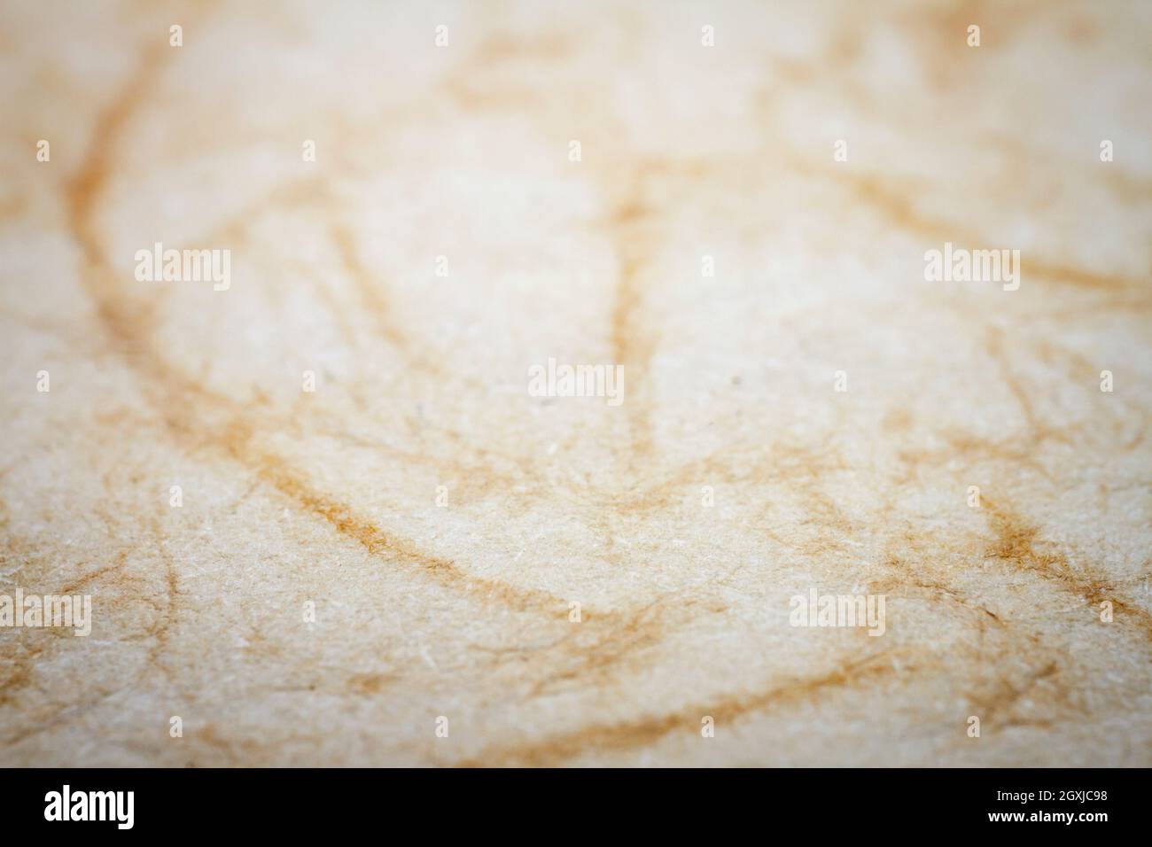 Beige paper backgrounds hi-res stock photography and images - Alamy