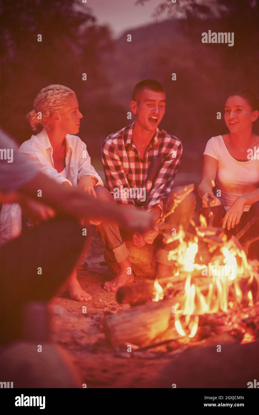 a group of happy young friends relaxing and enjoying summer evening ...