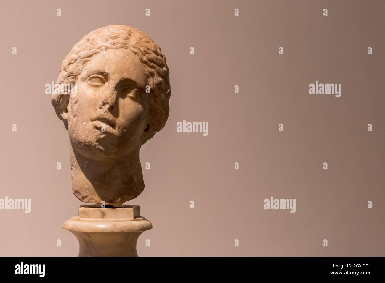 Close-up on female head of ancient roman statue in ruins Stock Photo ...