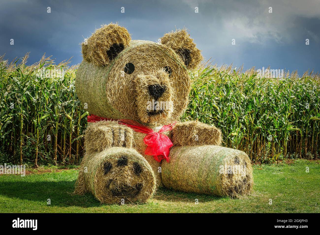 A giant teddy bear made out of straw bales in a fall farm setting Stock ...