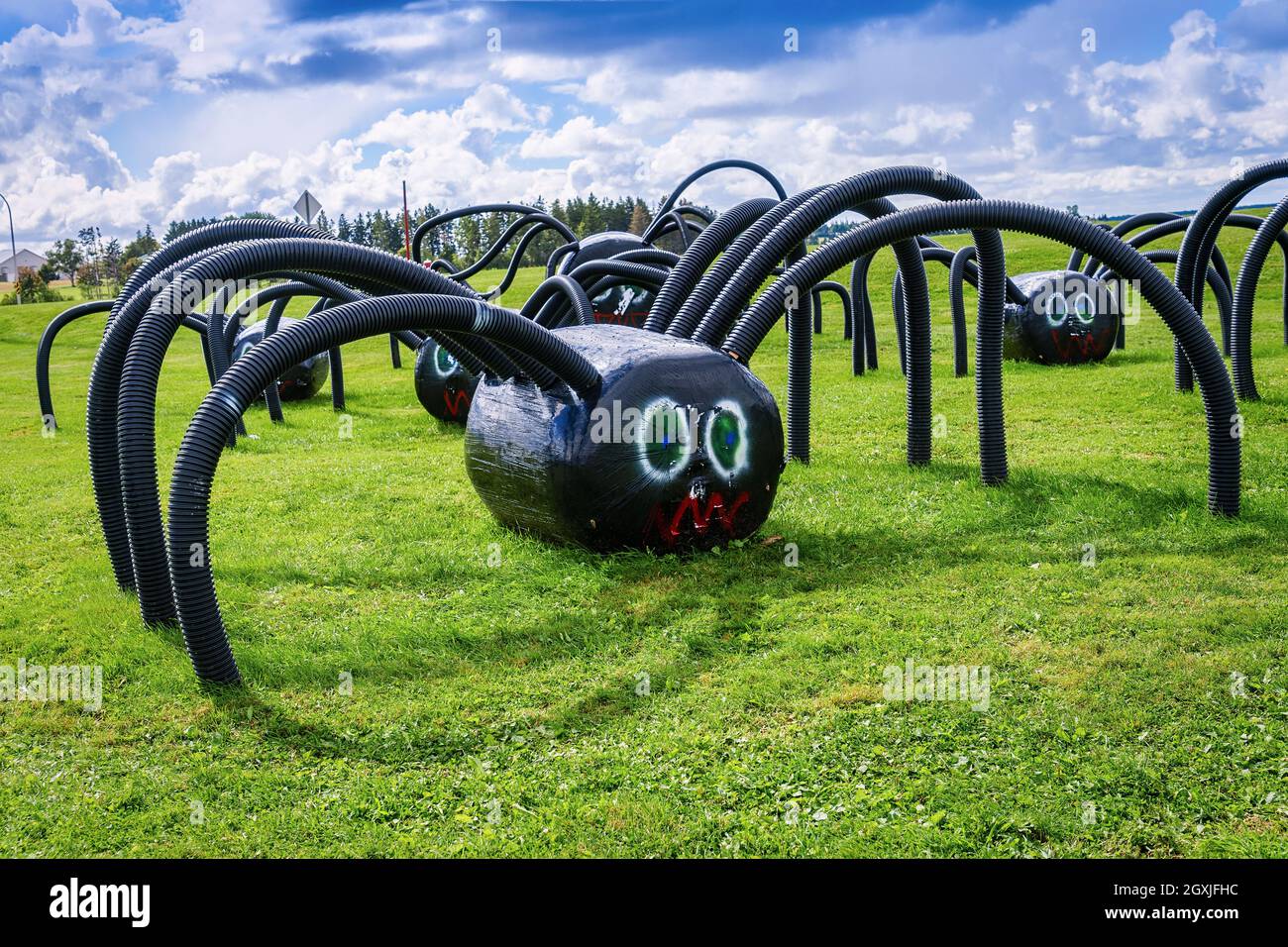Giant spider decorations in a rural setteing Stock Photo - Alamy