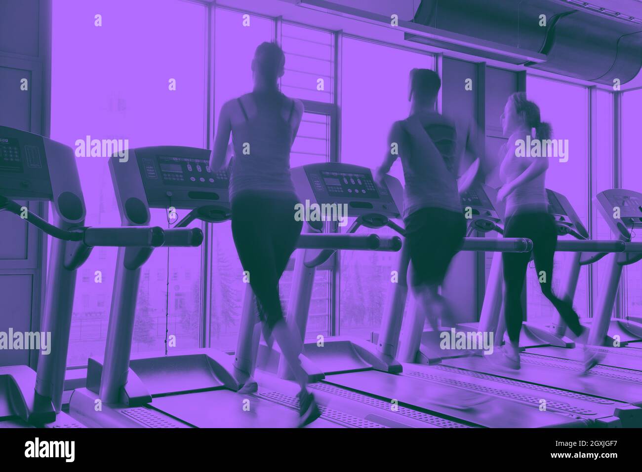 group of young people running on treadmills in modern sport gym duo ...