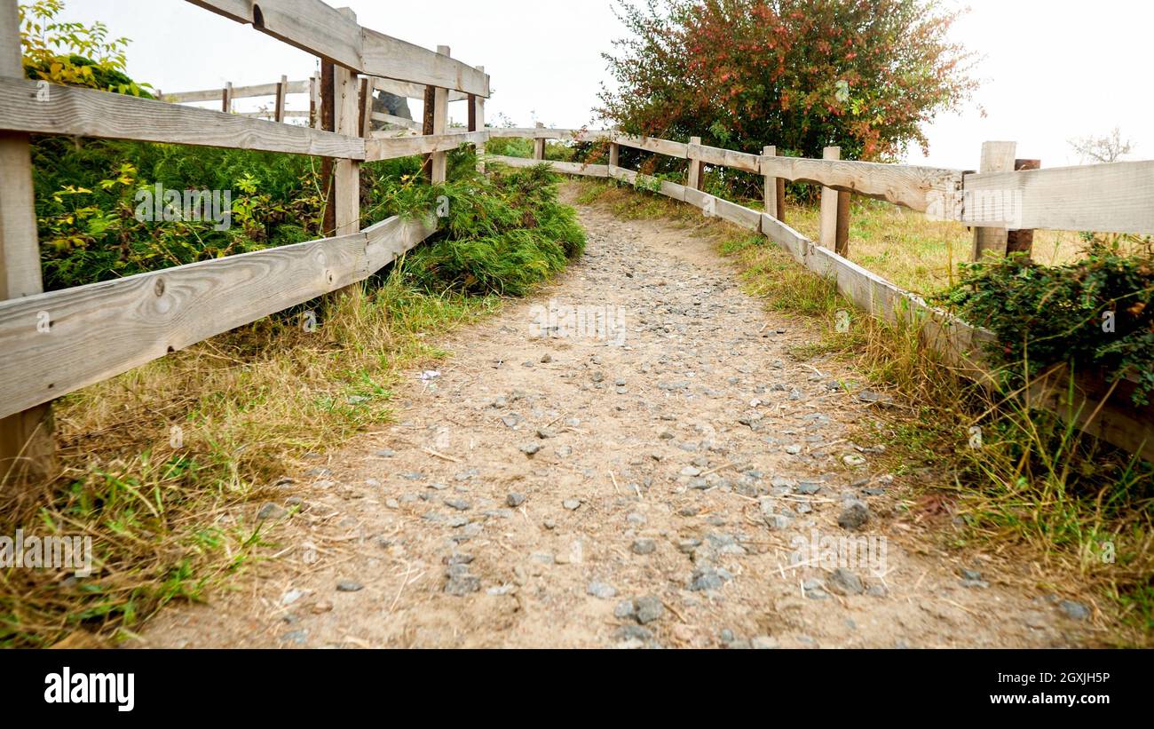 Narrow path pathway hedge hi-res stock photography and images - Alamy