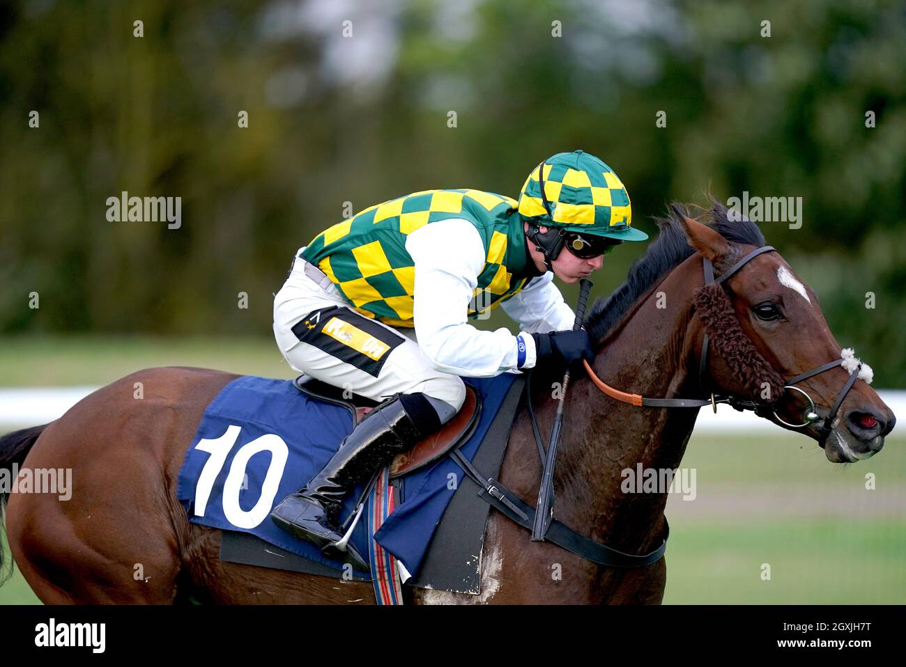 Lady Lottie ridden by Jack Tudor competes in the Boxing Day On Sale Now ...