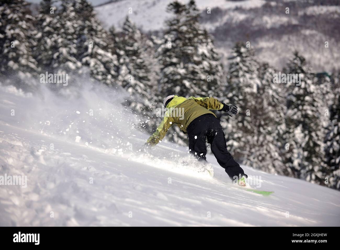 snowboarder woman enjoy freeride on fresh powder snow on beautiful ...