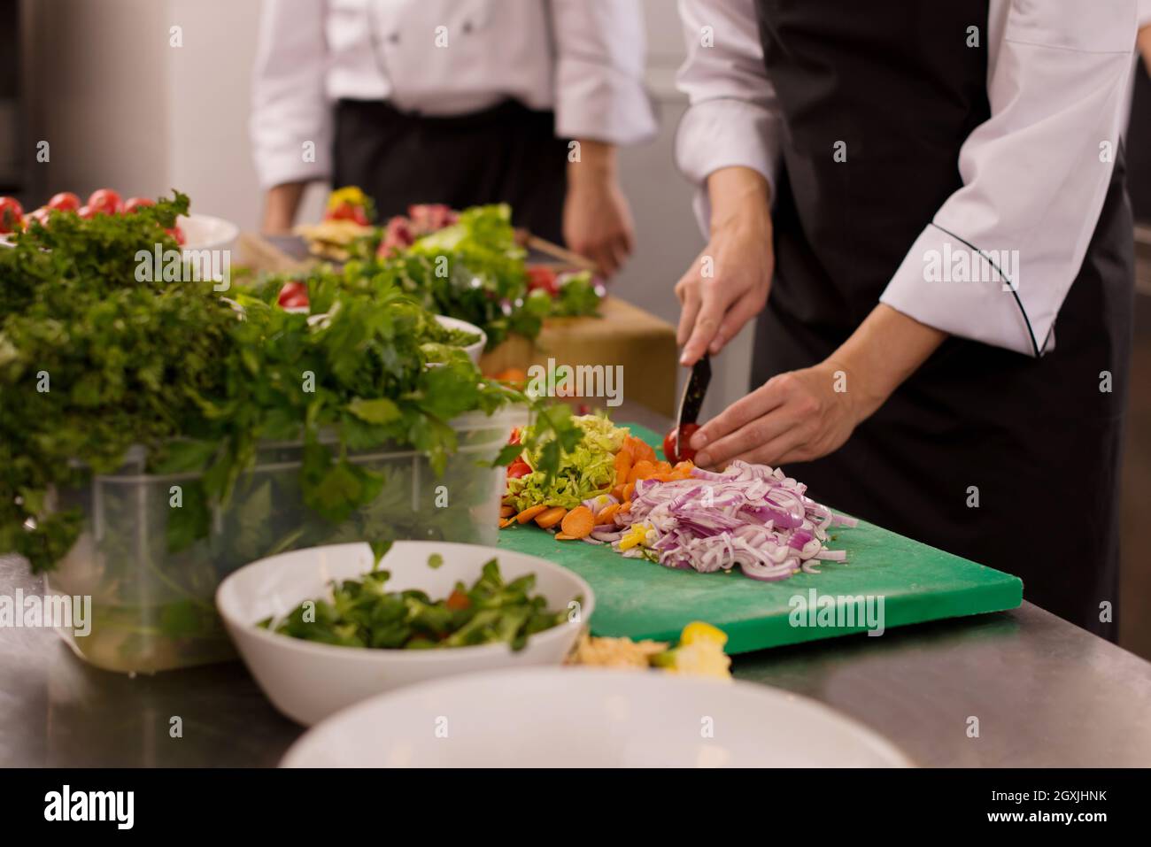 Professional team cooks and chefs preparing meal at busy hotel or ...