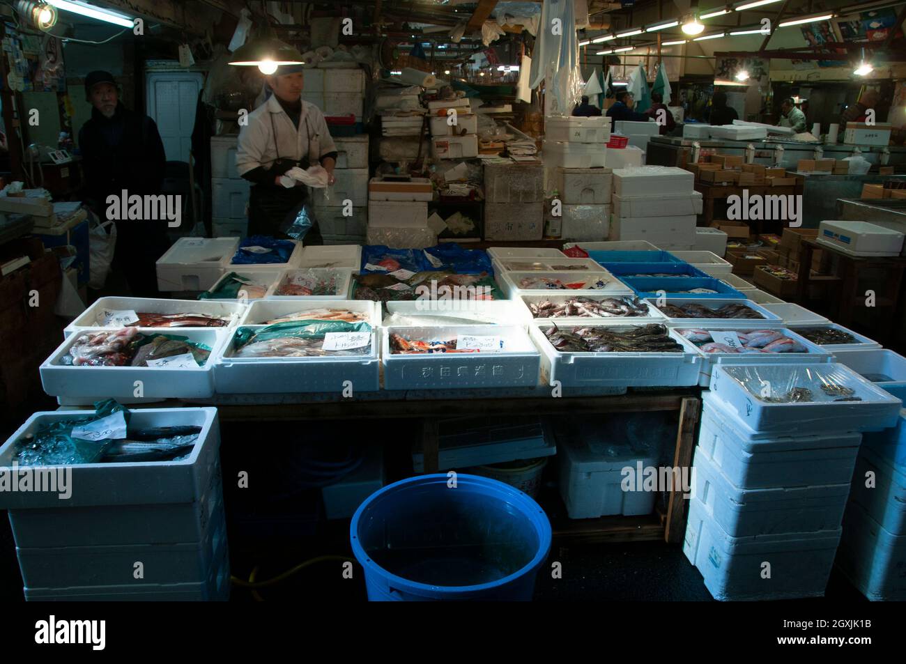 Fresh and frozen seafood for sale at the old Tsukiji Fish Market, Tokyo ...