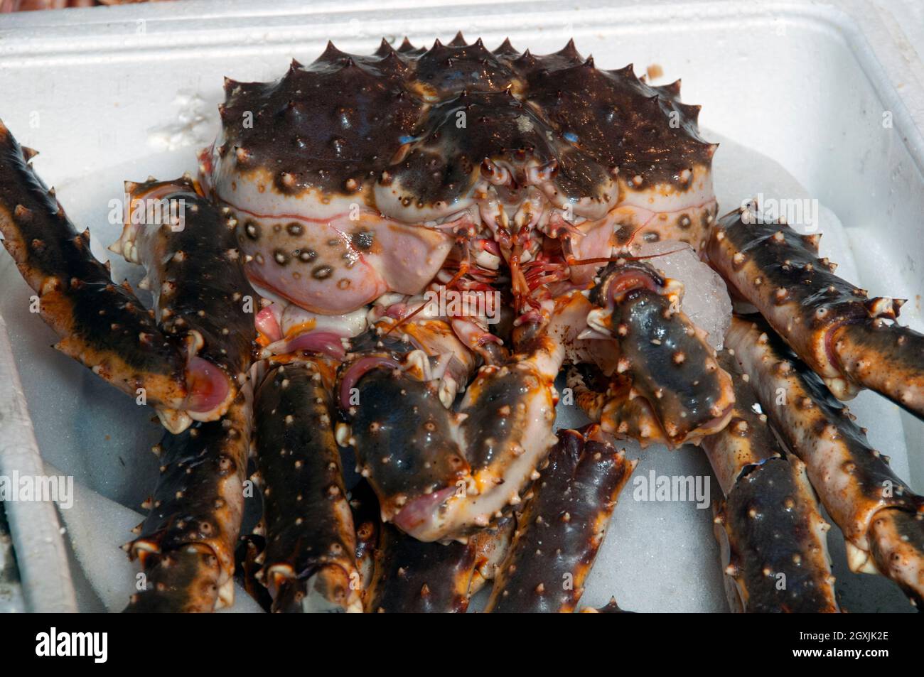 Fresh frozen crab for sale at the old Tsukiji Fish Market, Tokyo, Japan ...