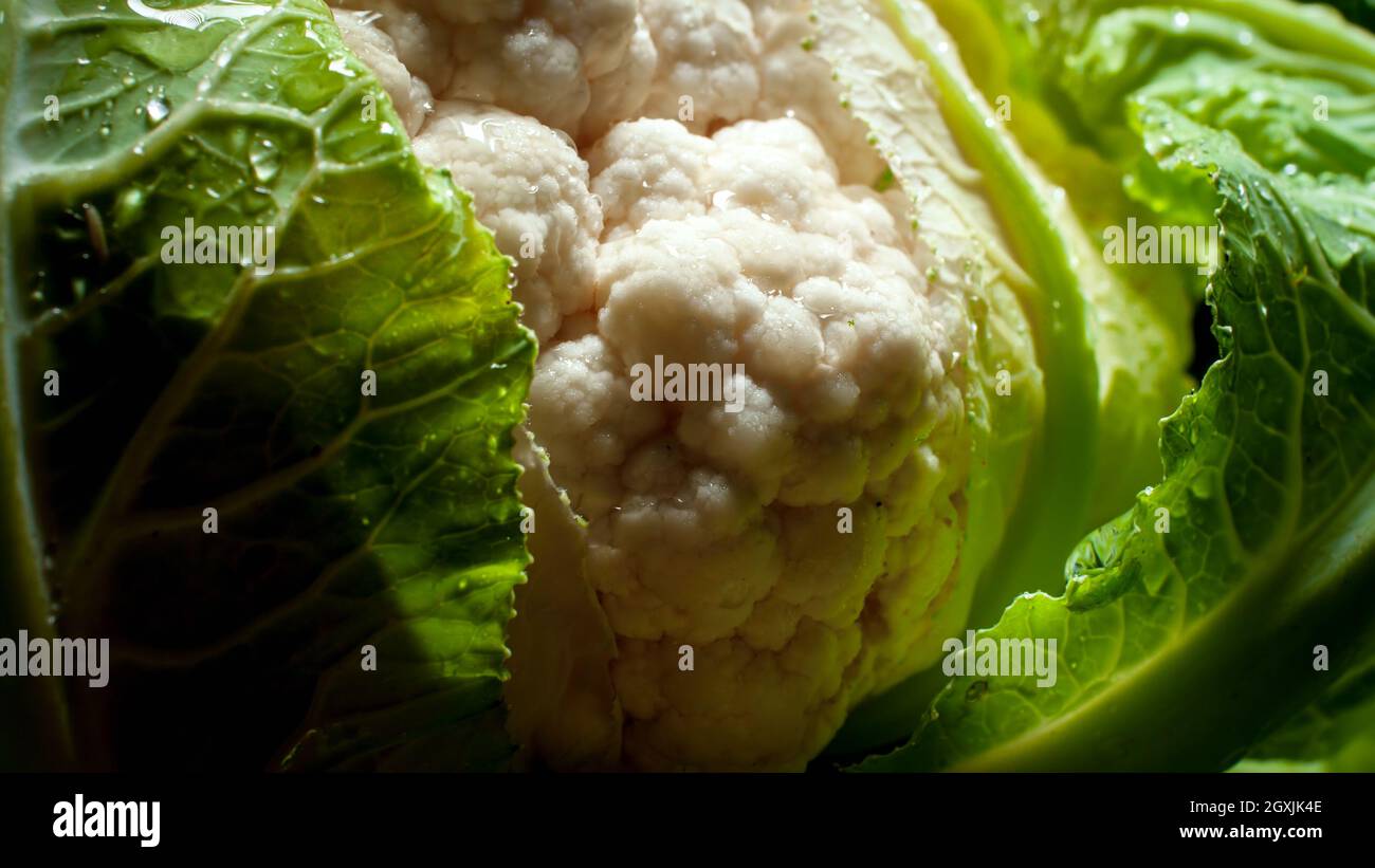 Closeup image of fresh washed cauliflower on kitchen desk. Background ...