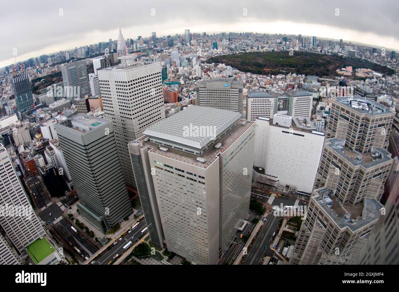 Top view of downtown Tokyo in the afternoon, Japan Stock Photo - Alamy