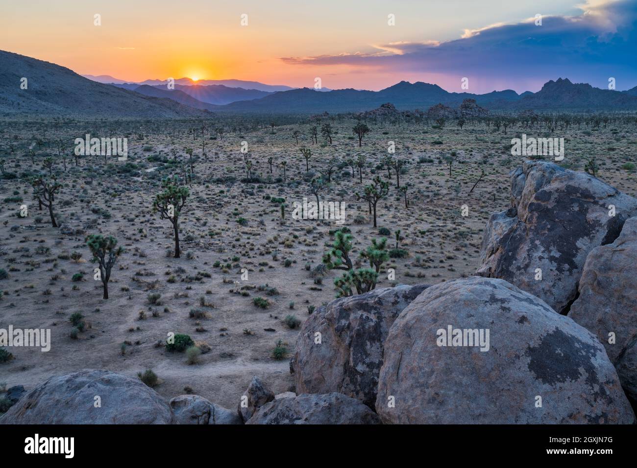 California desert hi-res stock photography and images - Alamy