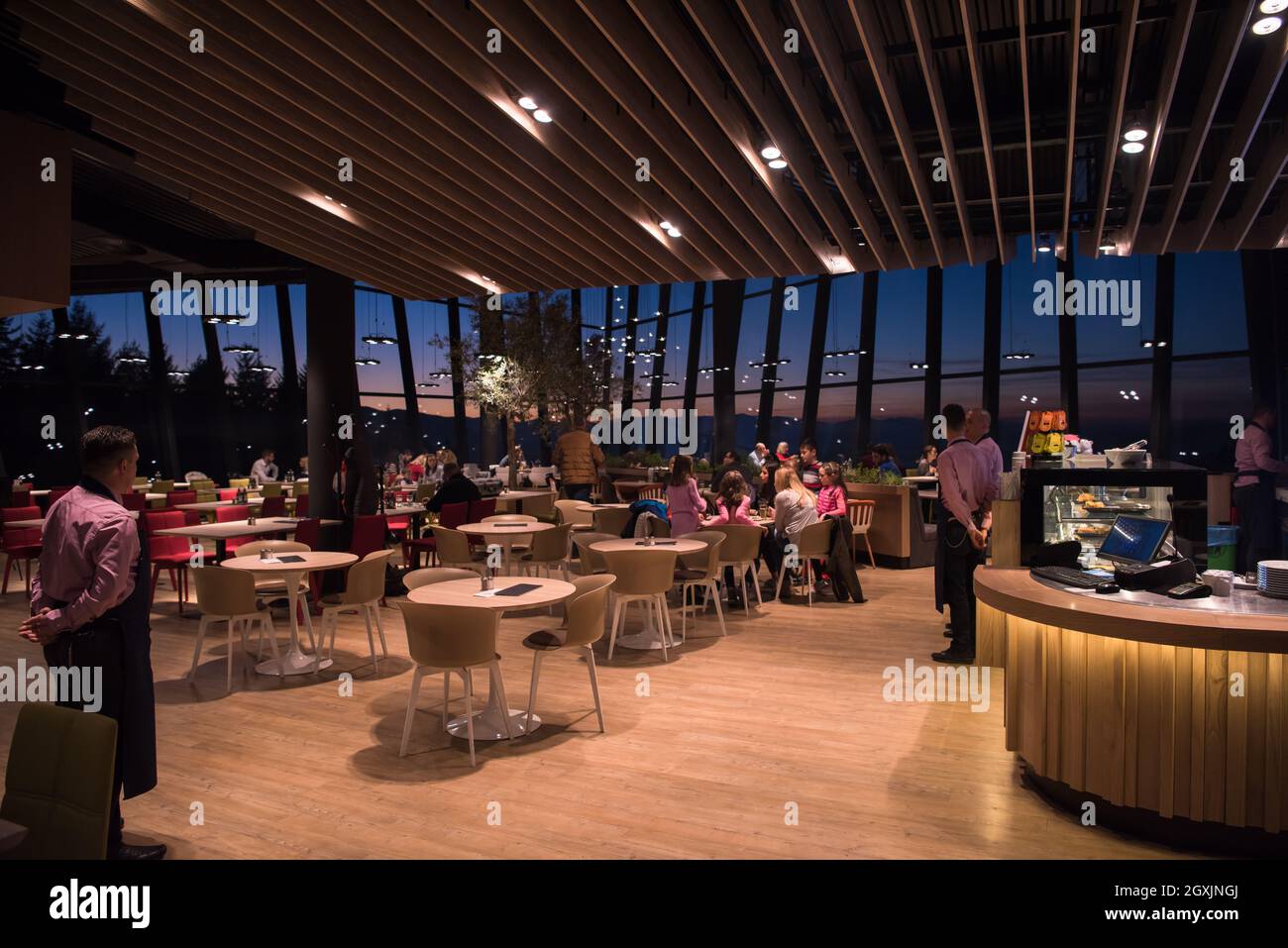 Rear view of young confident waiter standing with hands behind his back ...