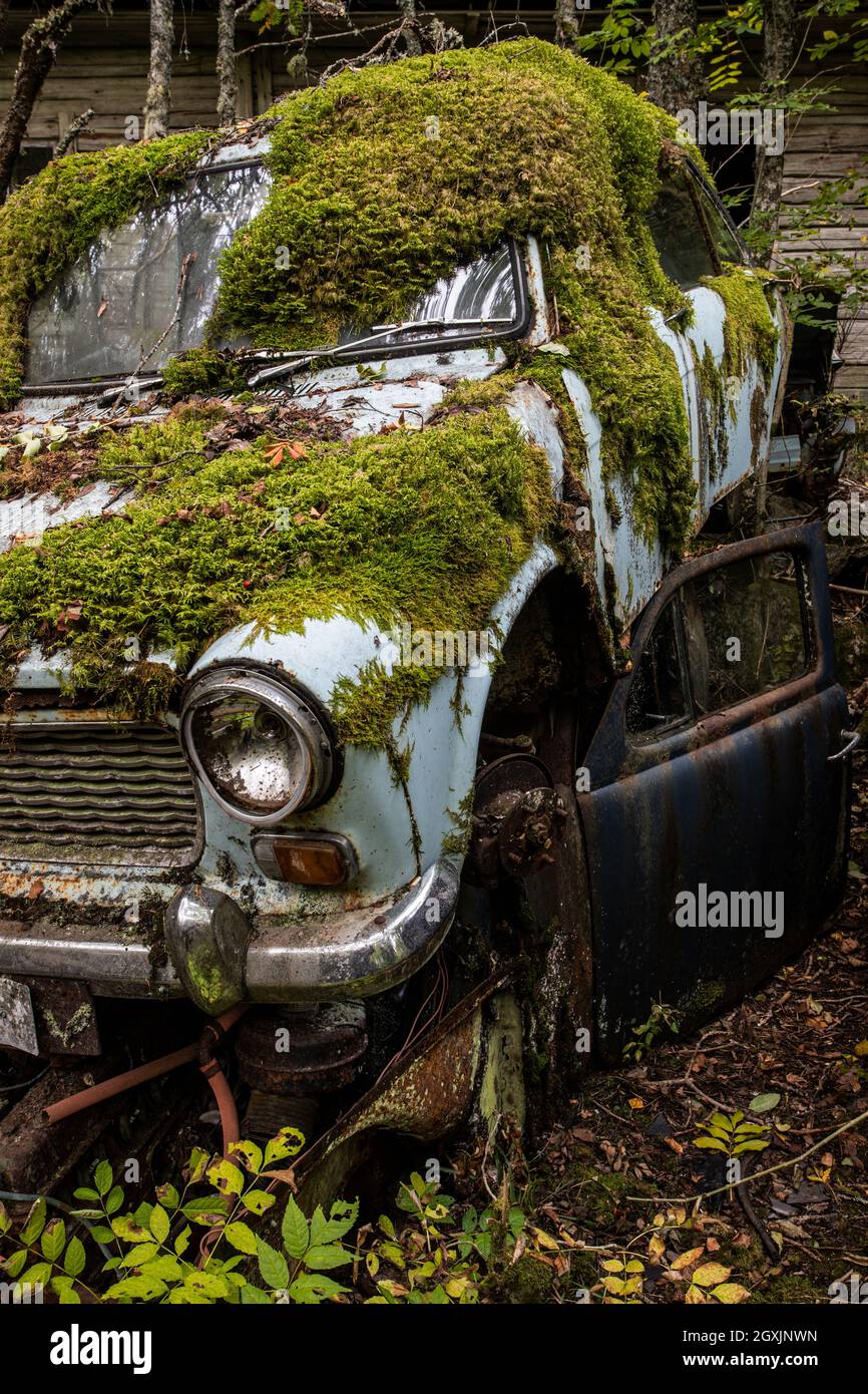 Hidden cars hi-res stock photography and images - Alamy