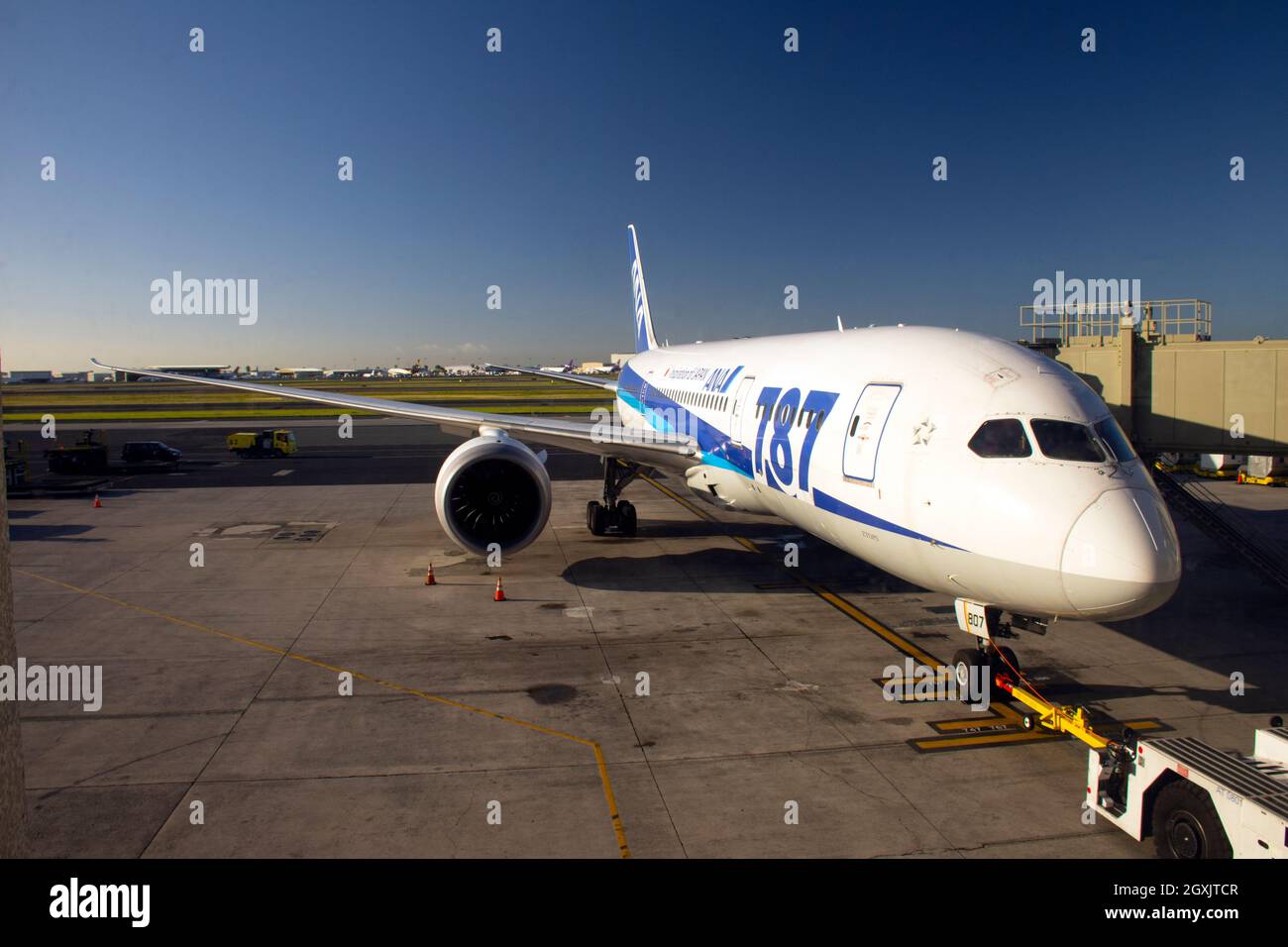 ANA Boeing 787 Airplane at the gate, Tokyo International Airport ...