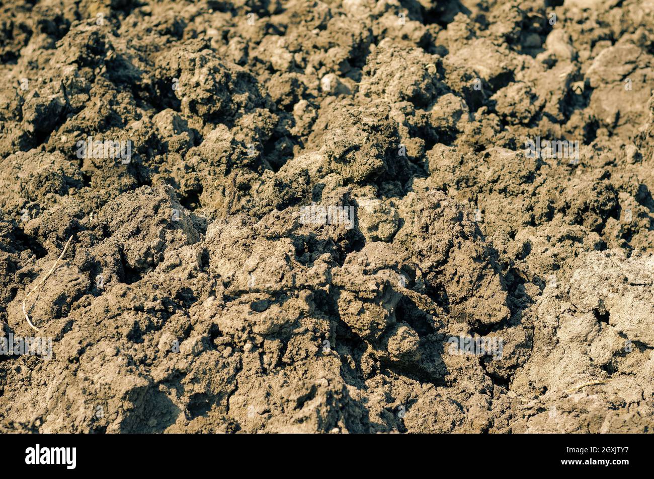 Dried mud. Brown mud dried by the hot summer sun. Daytime. Selective ...