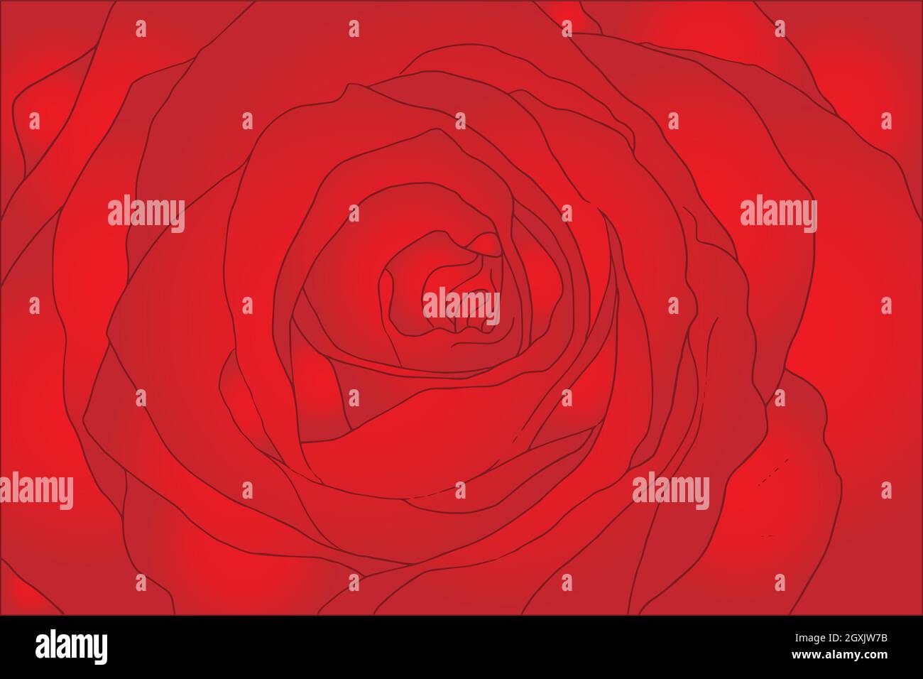 Bright red rose as nice background Beautiful template for wedding ...