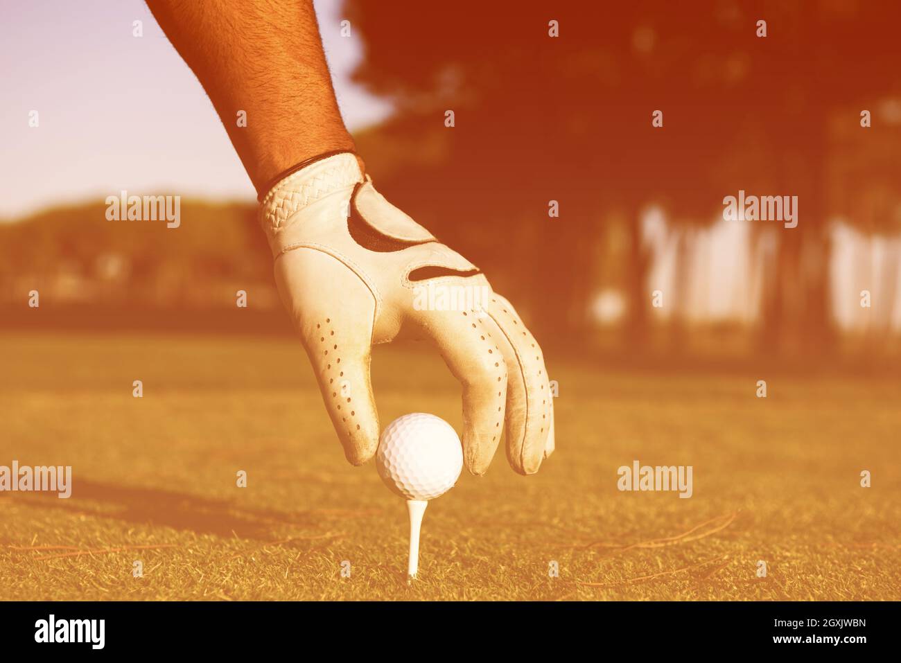 closeup of golf players hand placing ball on tee. beautiful sunrise on ...