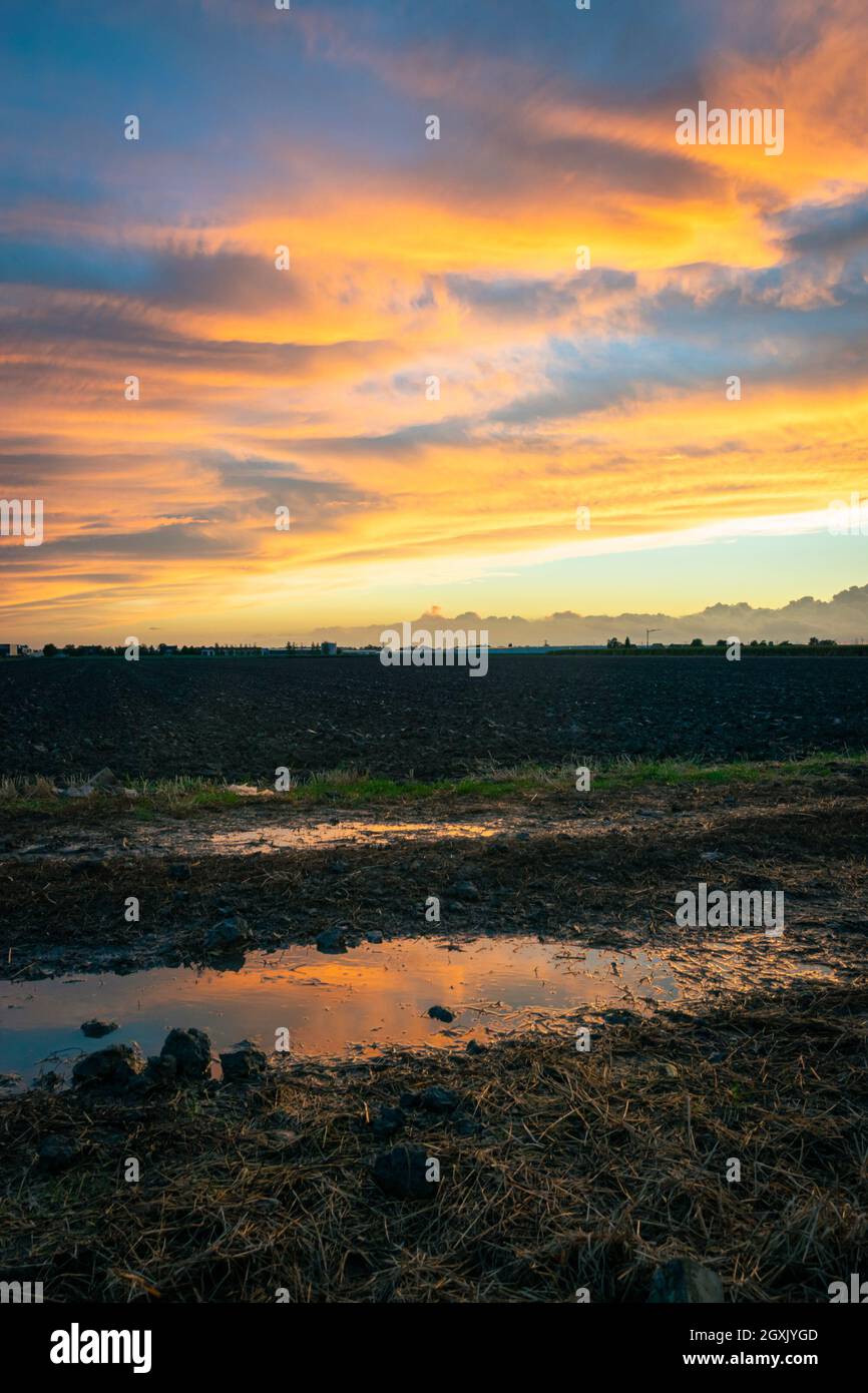 Stunning colors in the sky over Dutch agricultural landscape near Gouda ...