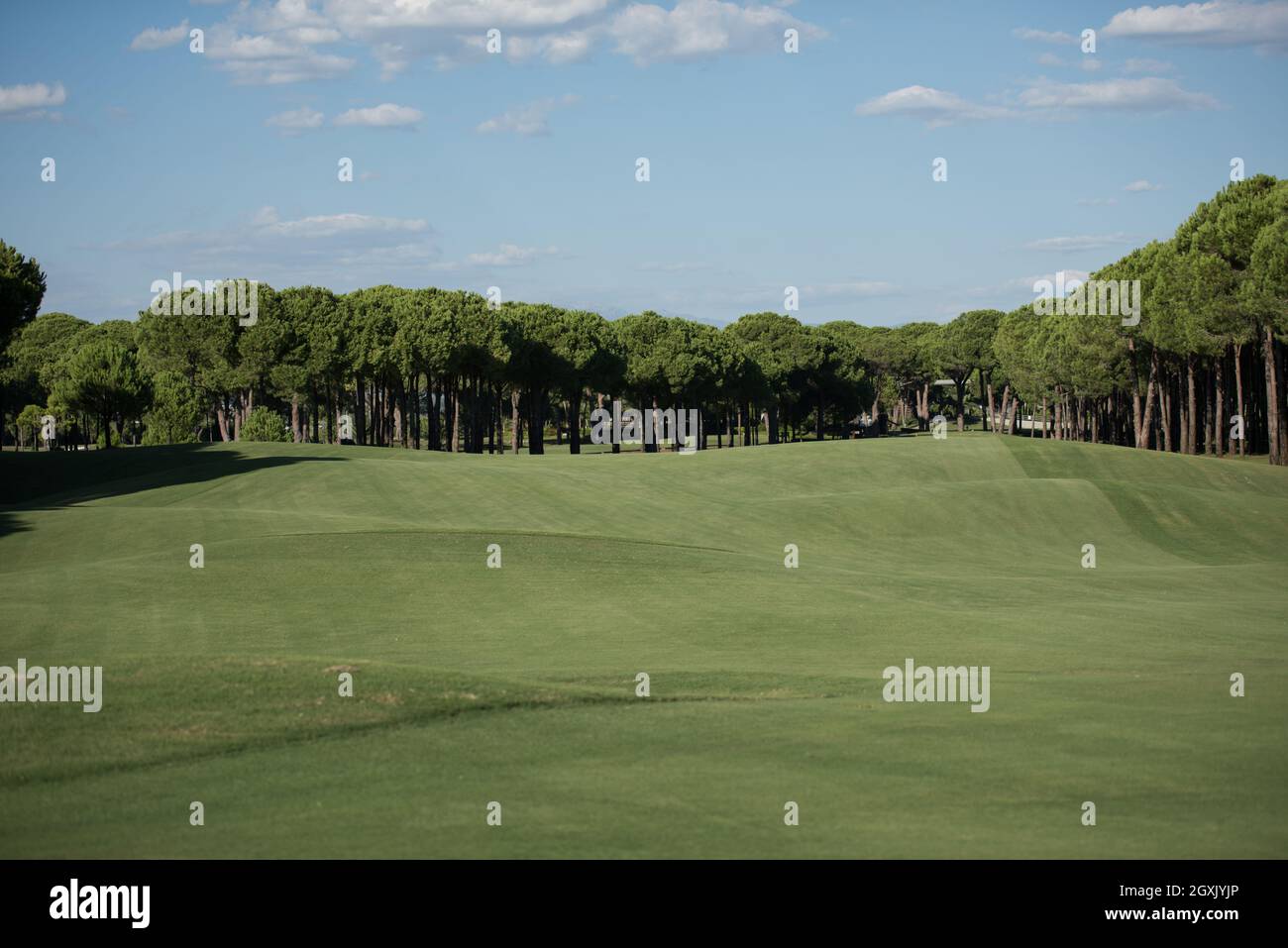 golf course landscape at beautiful fresh morning sunrise Stock Photo ...