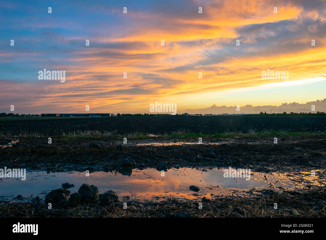 Netherlands plains sunset hi-res stock photography and images - Alamy
