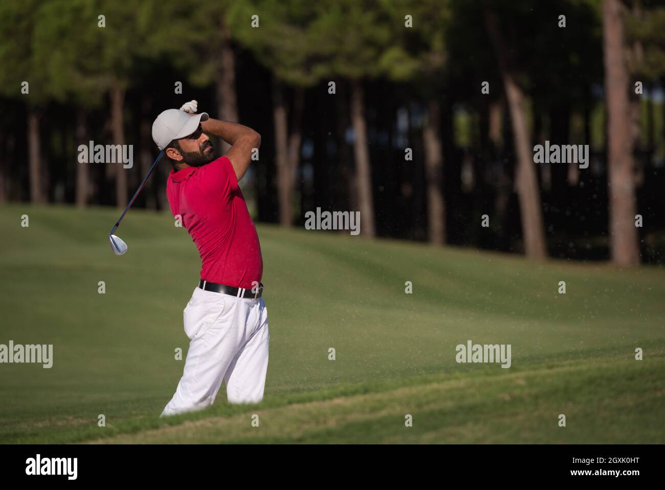 golf player shot ball from sand bunker at course Stock Photo - Alamy