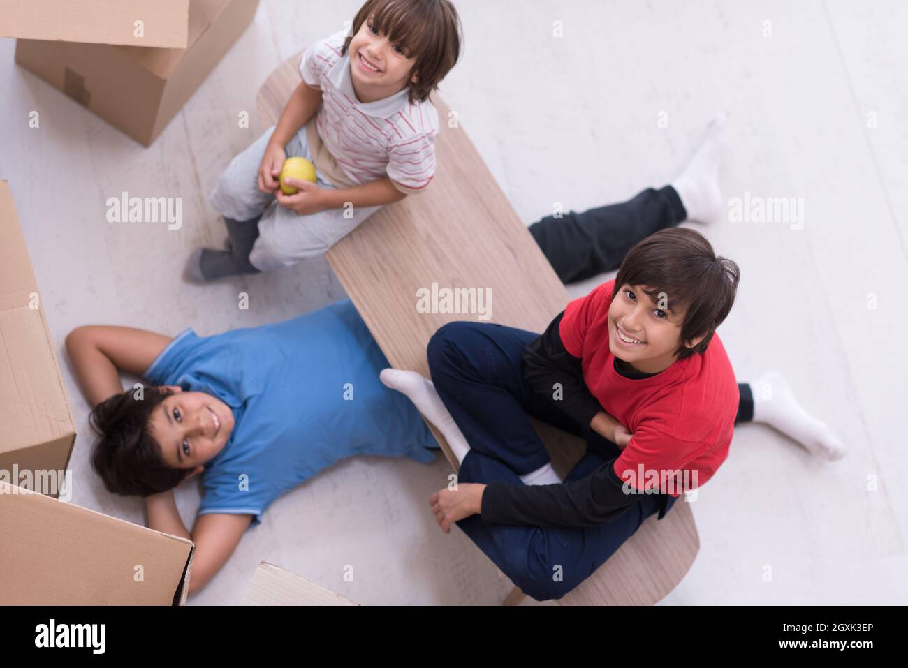 portrait of happy young boys with cardboard boxes around them in a new ...
