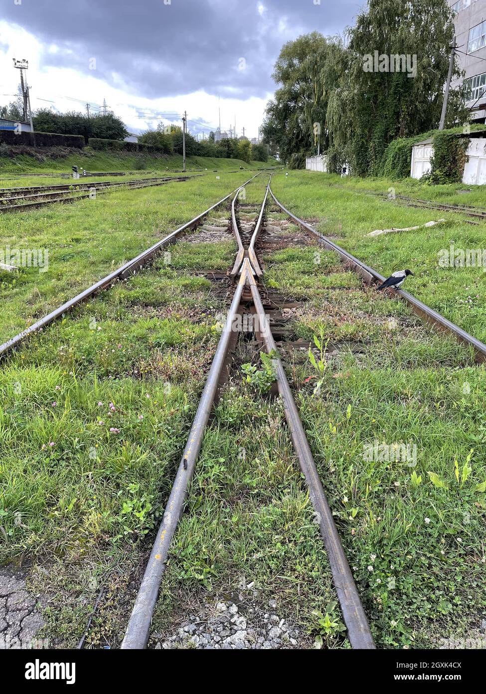 Railroad tracks junction in the grass Stock Photo - Alamy
